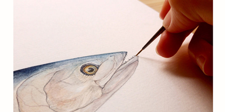 Wildlife Illustrations & Paintings – Hazel Adams Illustrations